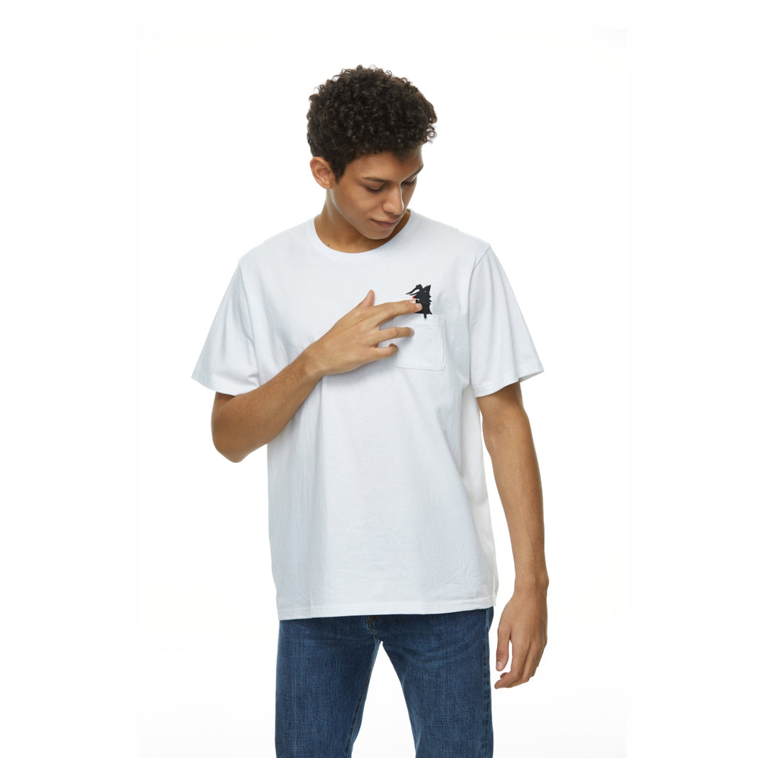 STAR Protector Products